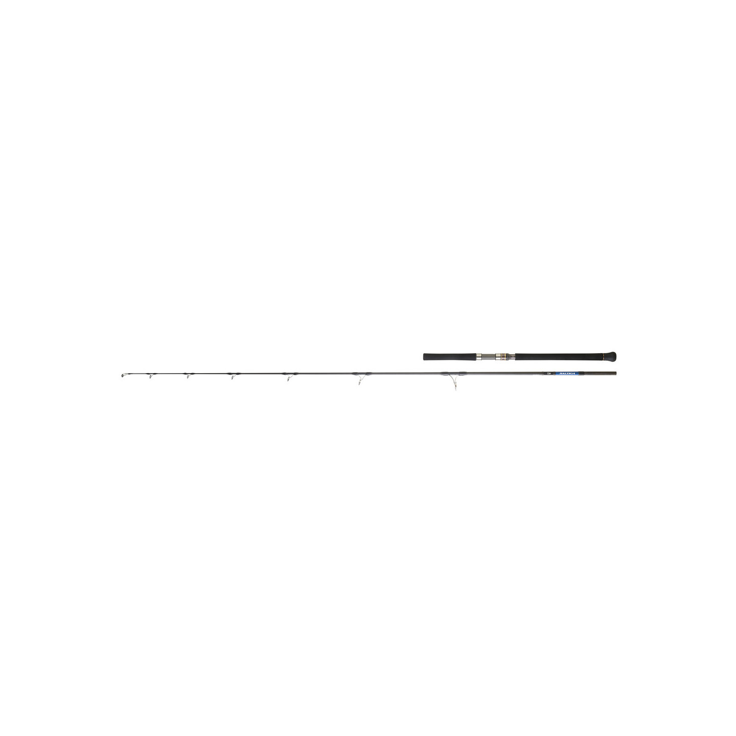 Canne Daiwa Saltiga Lancer | canne spinning | DPSG
